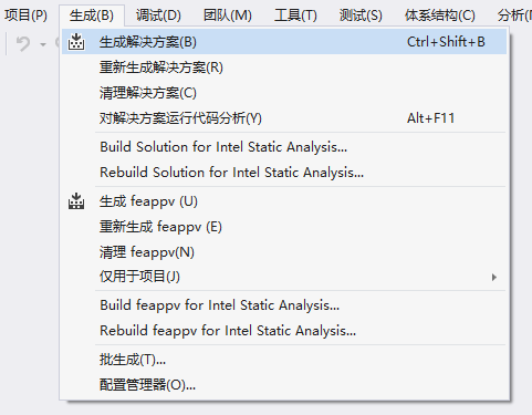 User guide of FEAPpv program